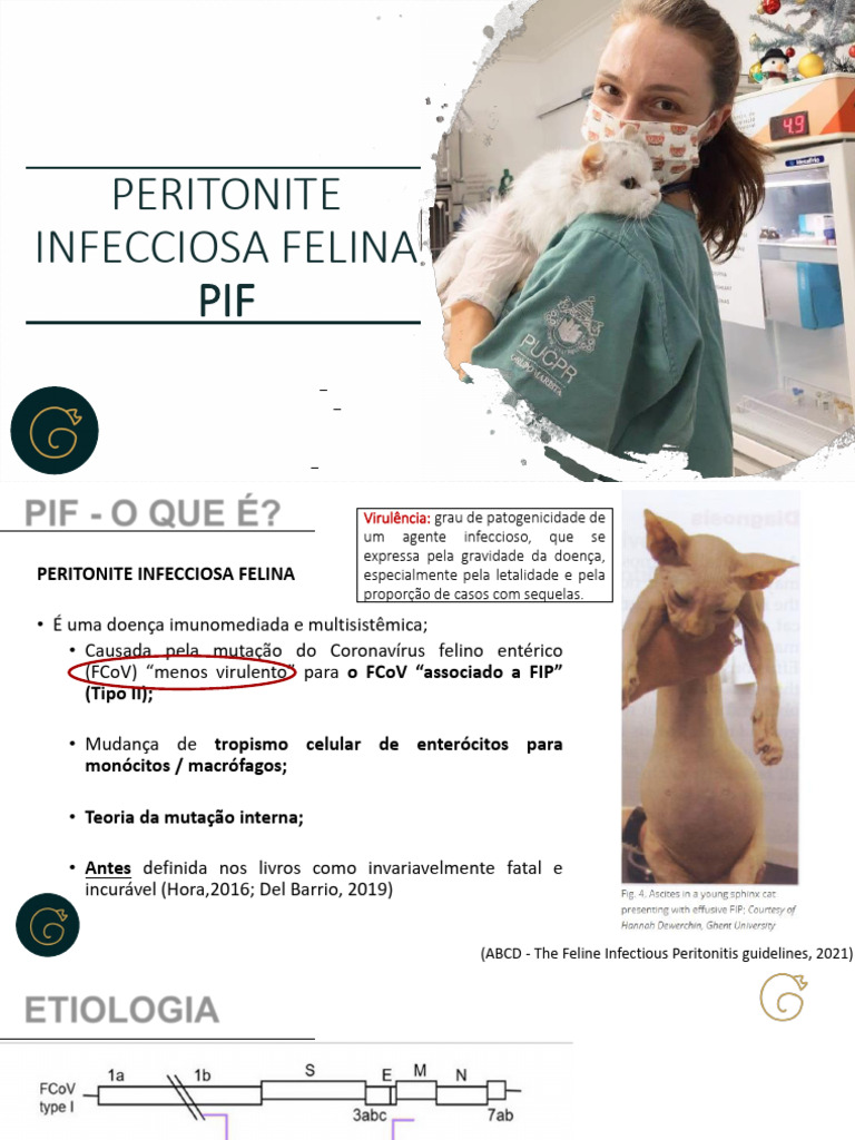 PIF felinos | PDF | Gatos | Vírus