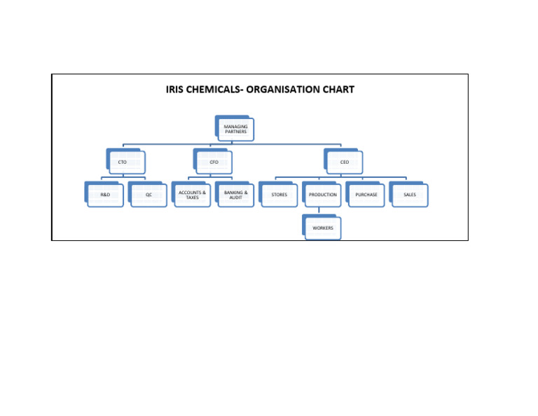 Organogram Iris | PDF