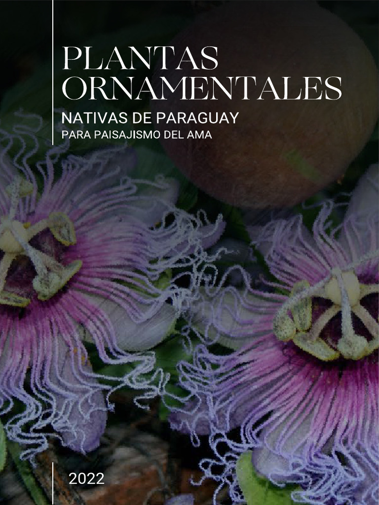 Libro de Plantas Ornamentales Web Comprimido | PDF | Jardines | Paraguay