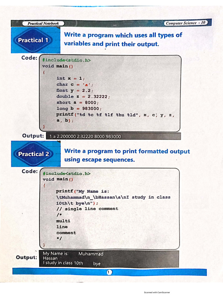 Computer Practical 10th | PDF
