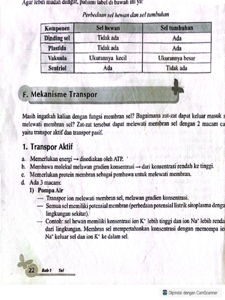 Mekanisme Transfor, Transfor Aktif | PDF