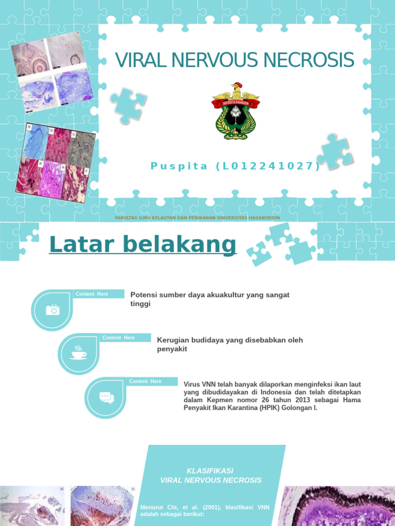 PUSPITA L012241027 VNN-1 | PDF