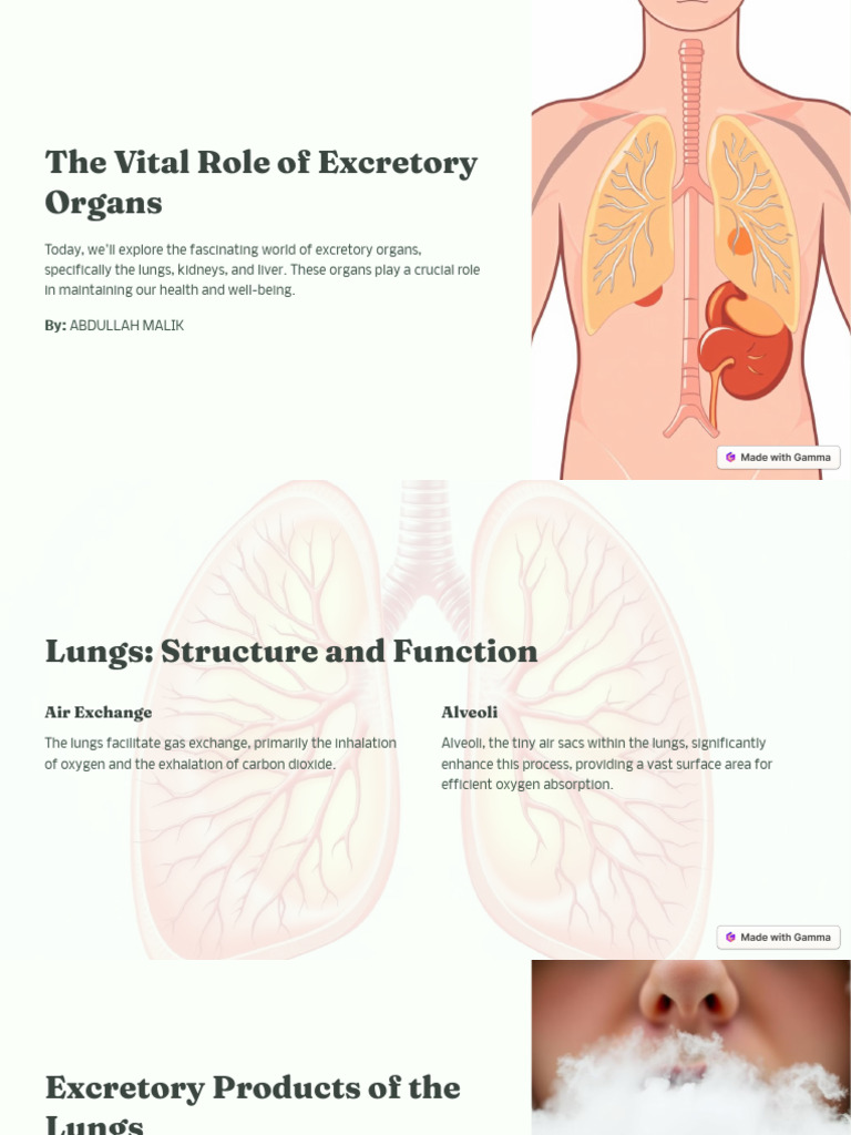 Abdullah Malik Pres PDF | PDF | Kidney | Liver