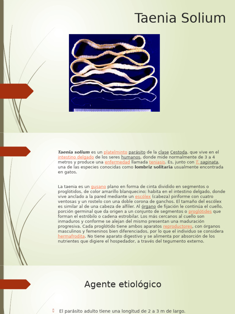 Taenia Solium: Parásito y Ciclo Biológico | PDF | Especialidades Medicas