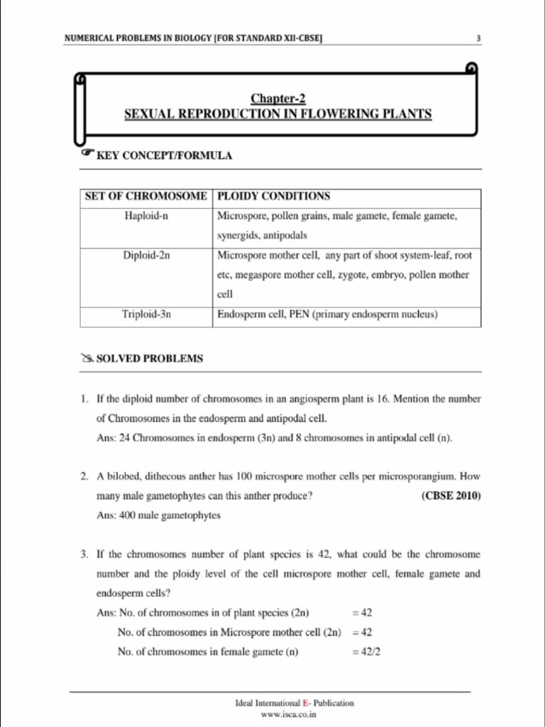 Bio Imp. Numericals 2024 | PDF