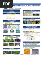 Types of Patterns in Nature | PDF