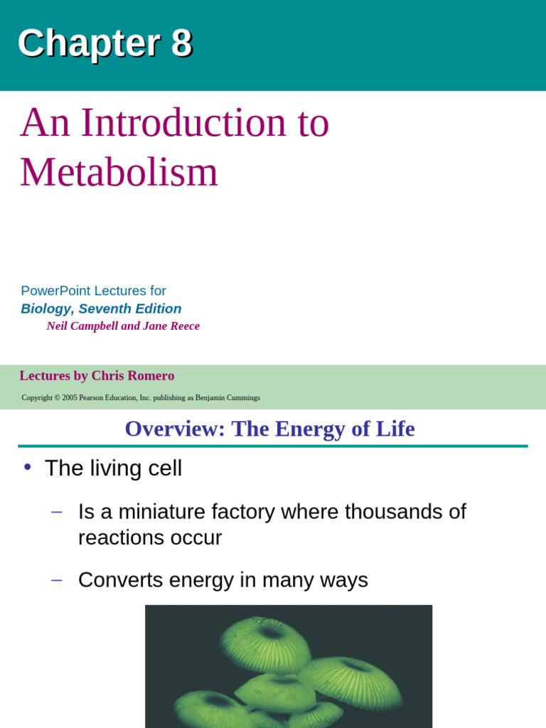 Chapter8 Introduction To Metabolism | PDF | Gibbs Free Energy ...