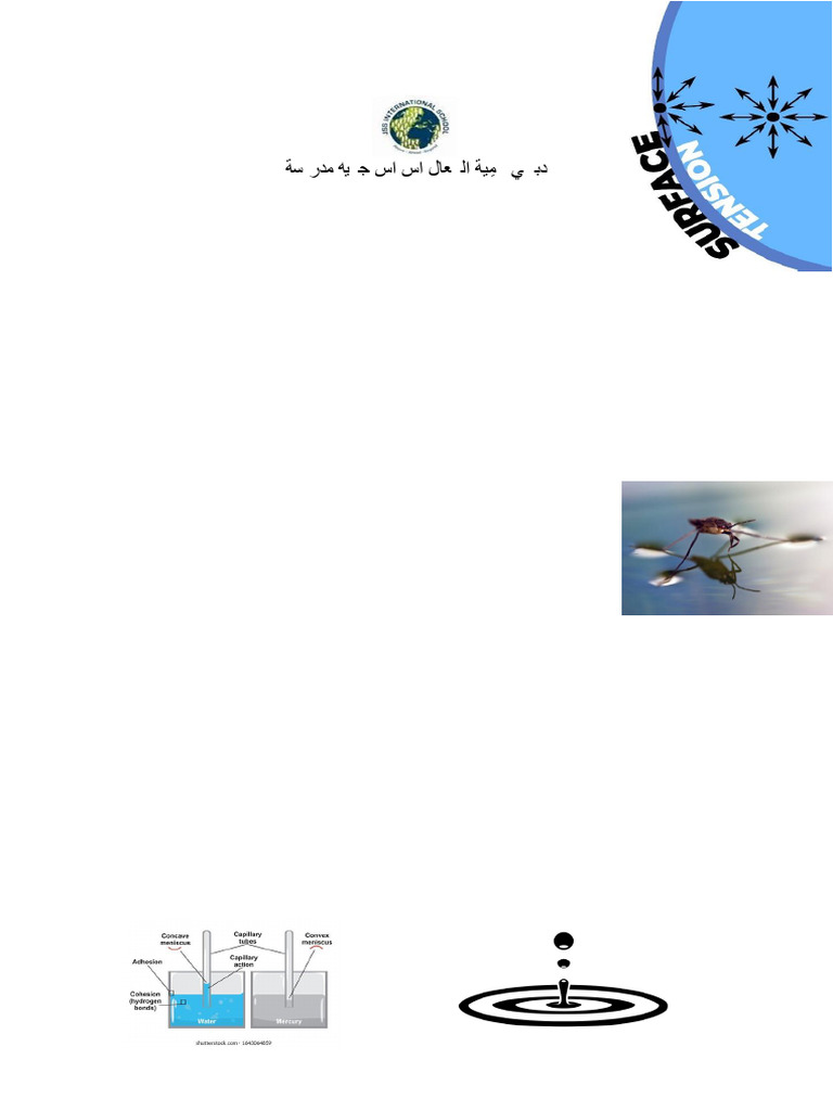 Worksheet On Surface Tension | PDF | Surface Tension | Pressure