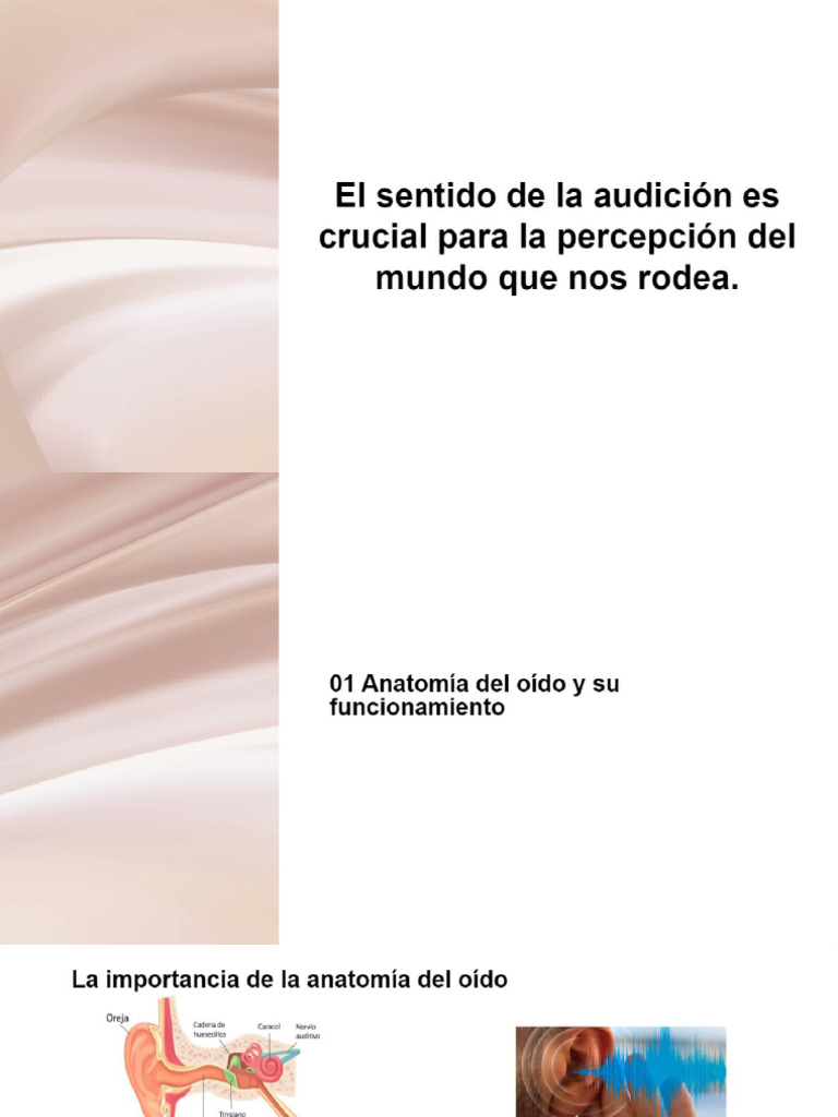 Audición | PDF