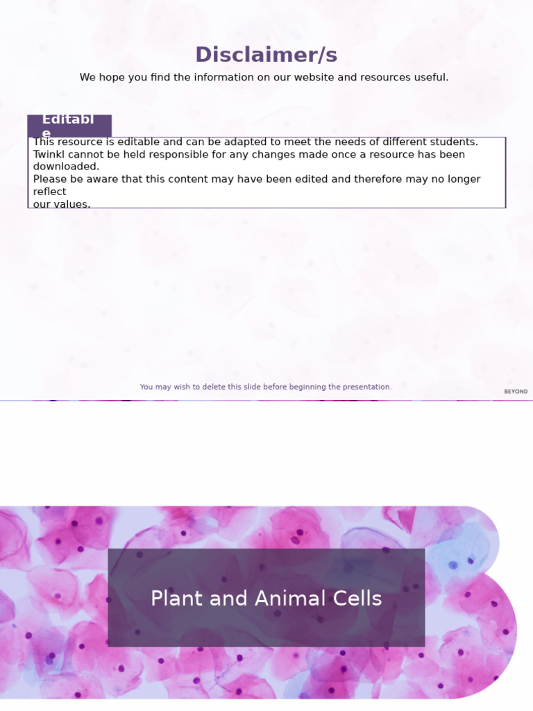 Plant vs Animal Cells Explained | PDF | Cell (Biology) | Chloroplast