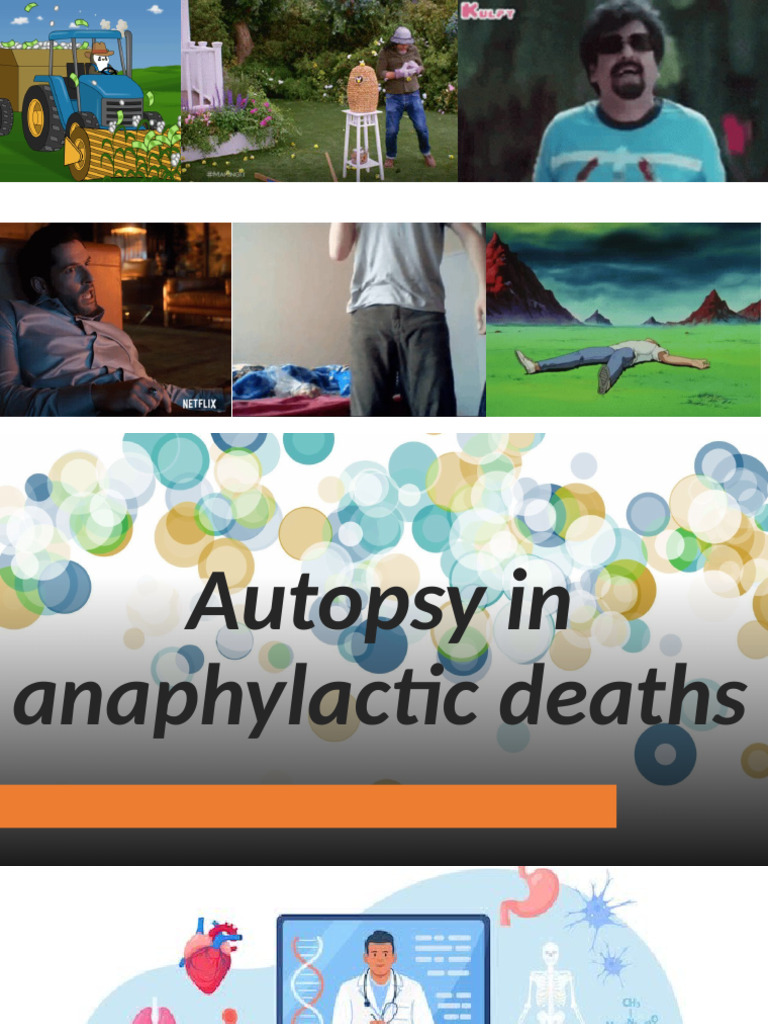 Autopsy in Anaphylactic Deaths | PDF | Allergy | Lung