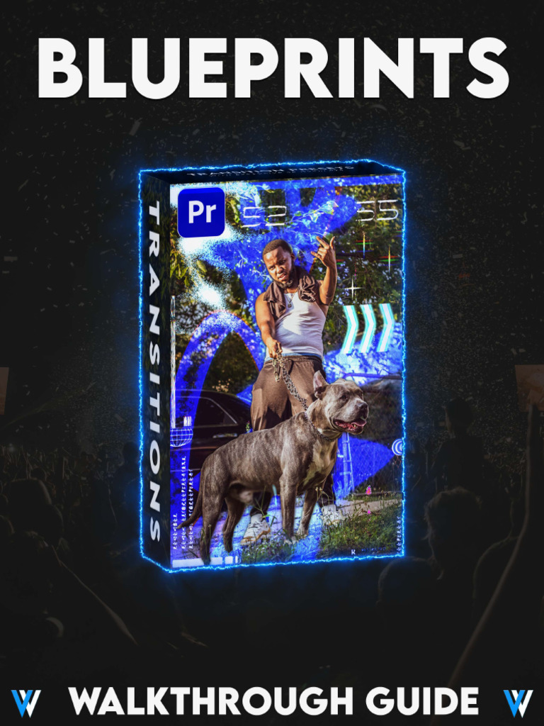 Walkthrough Guide | PDF