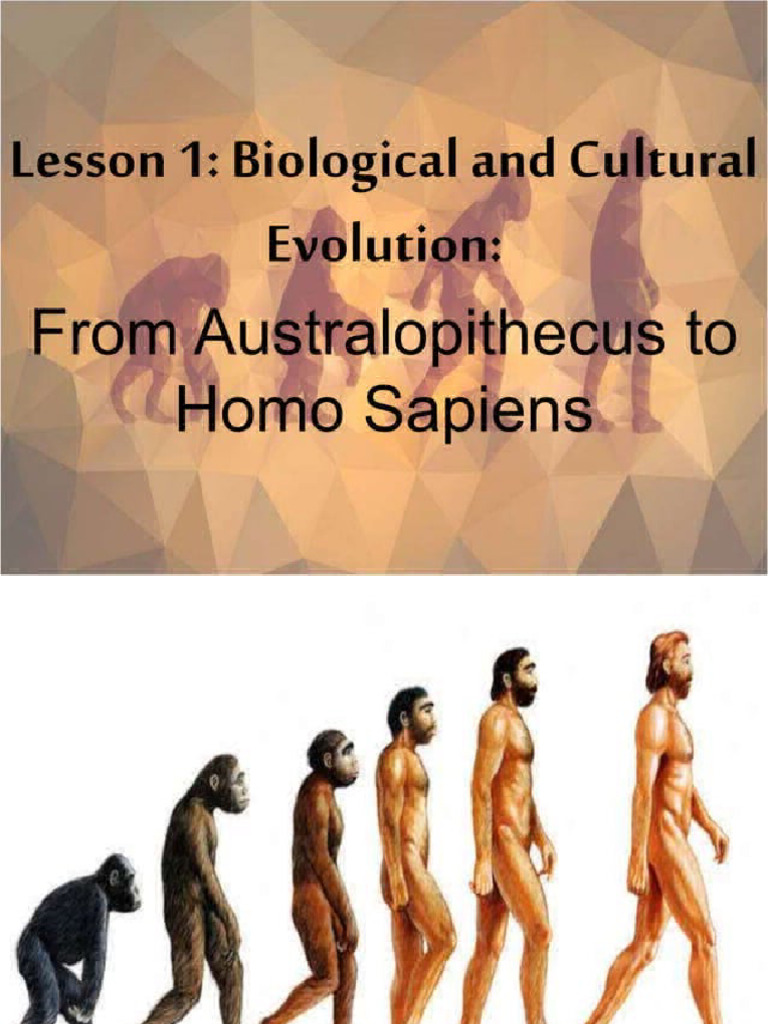 UCSP Powerpoint 9 | PDF