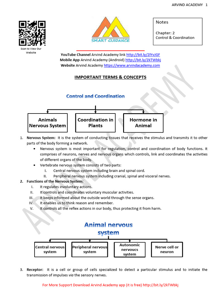 Chap 07 Control & Coordination | PDF | Neuron | Axon