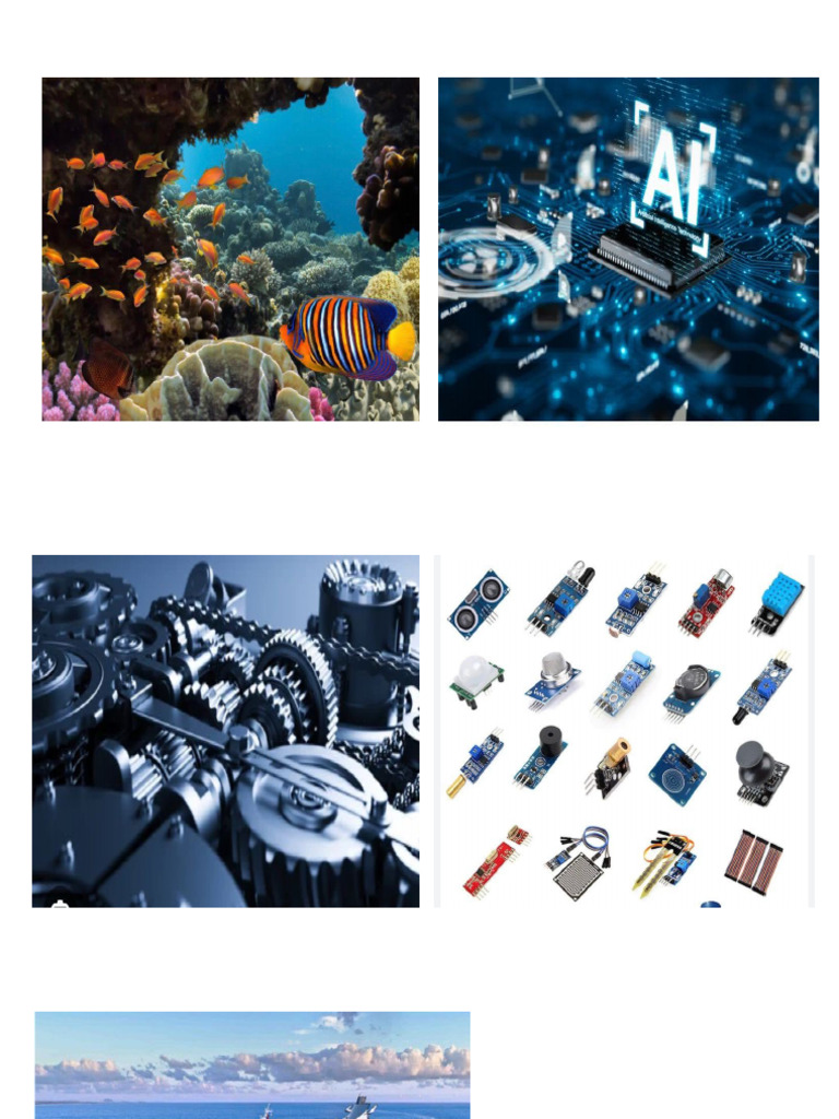 Blue Protector Image | PDF