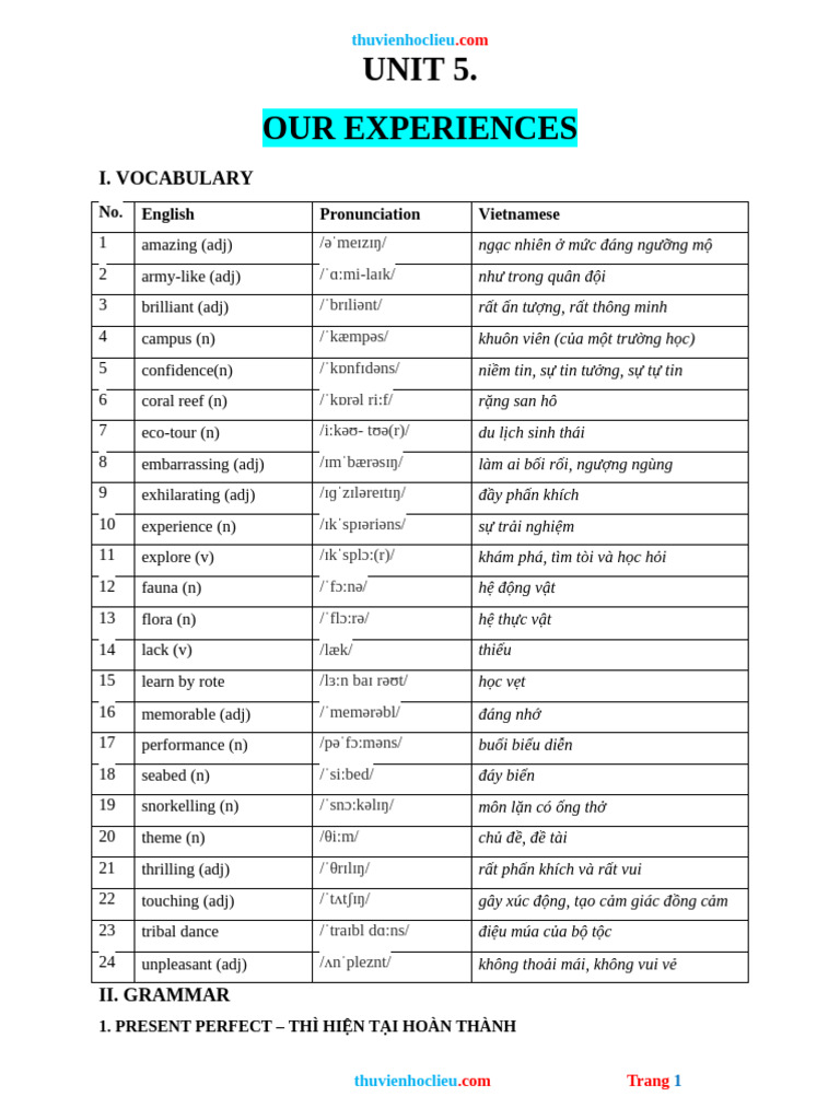 Tu Vung Va Ngu Phap Tieng Anh 9 Global Unit 5 OUR EXPERIENCES | PDF