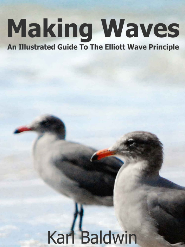 Making Waves An Illustrated Guide To The Elliott Wave Principle ...