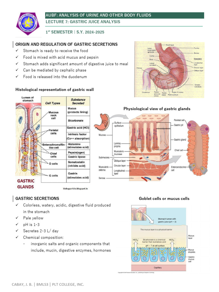 Lecture 7 Gastric Juice Analysis | PDF | Stomach | Digestion