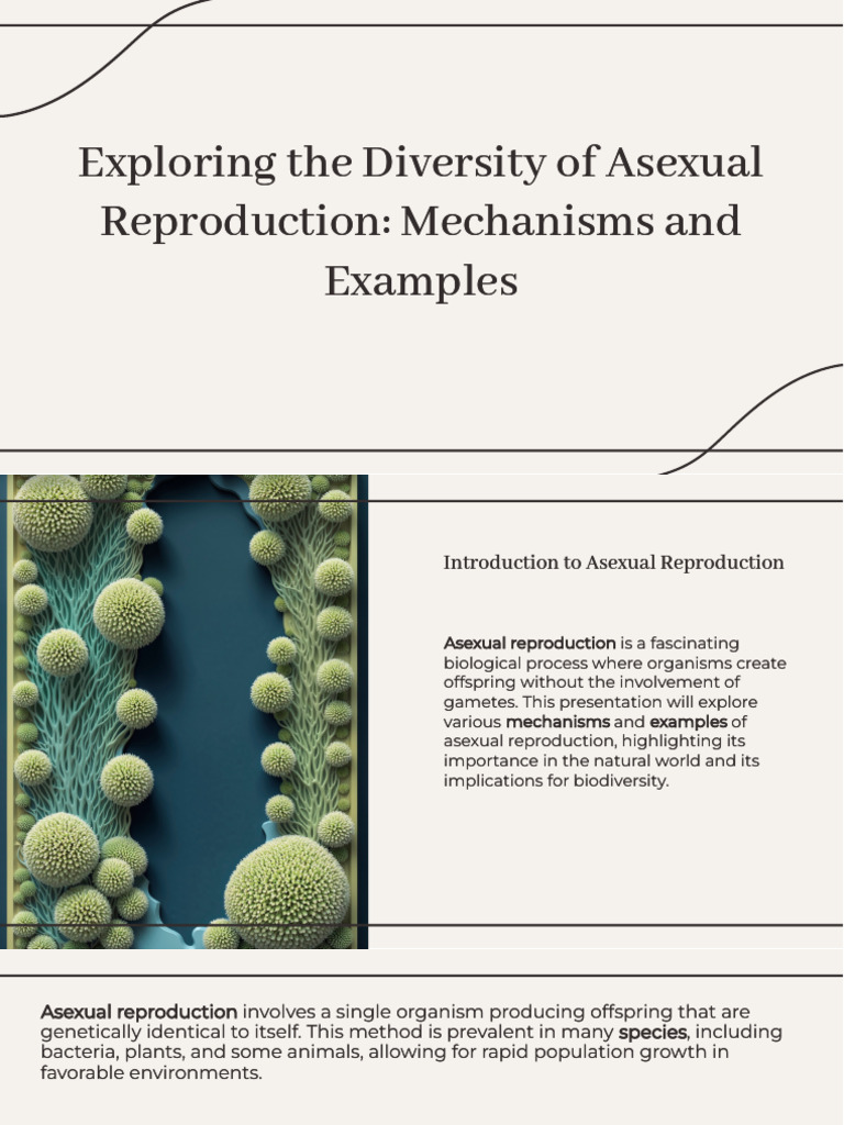 Slidesgo Exploring The Diversity of Asexual Reproduction Mechanisms and ...