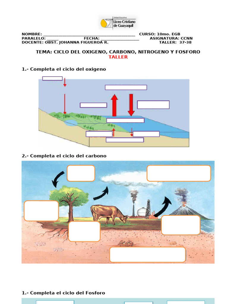 Taller Refuerzo Ciclo - Del Conp | PDF