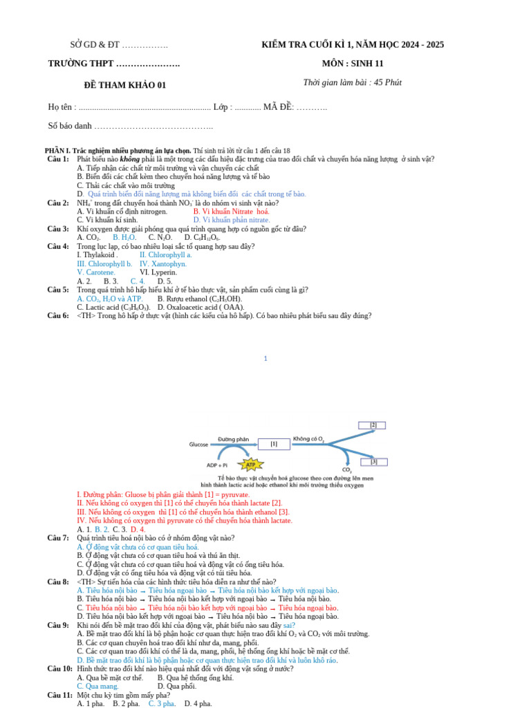 CK1-Sinh 11-Đề 2 | PDF