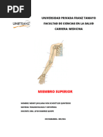 Apófisis Coracoides | PDF | Hombro | Extremidades (anatomía)