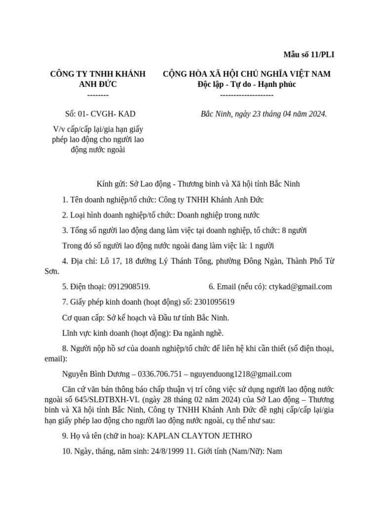 Mau So 11 - PLI - 152 - 2020 - NĐ-CP | PDF