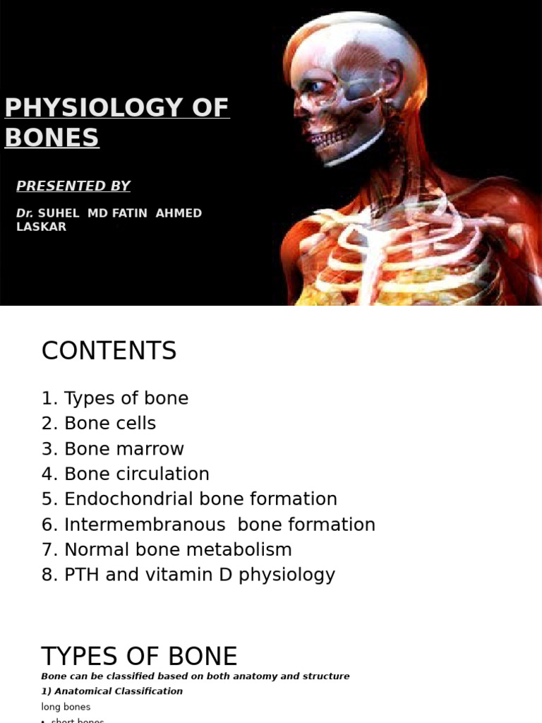 Physiology of Bones | PDF | Bone | Osteoblast