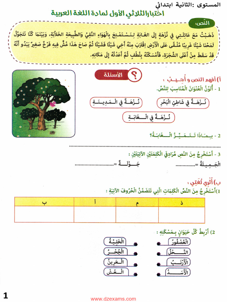 Dzexams 2ap Arabe 3217159 | PDF