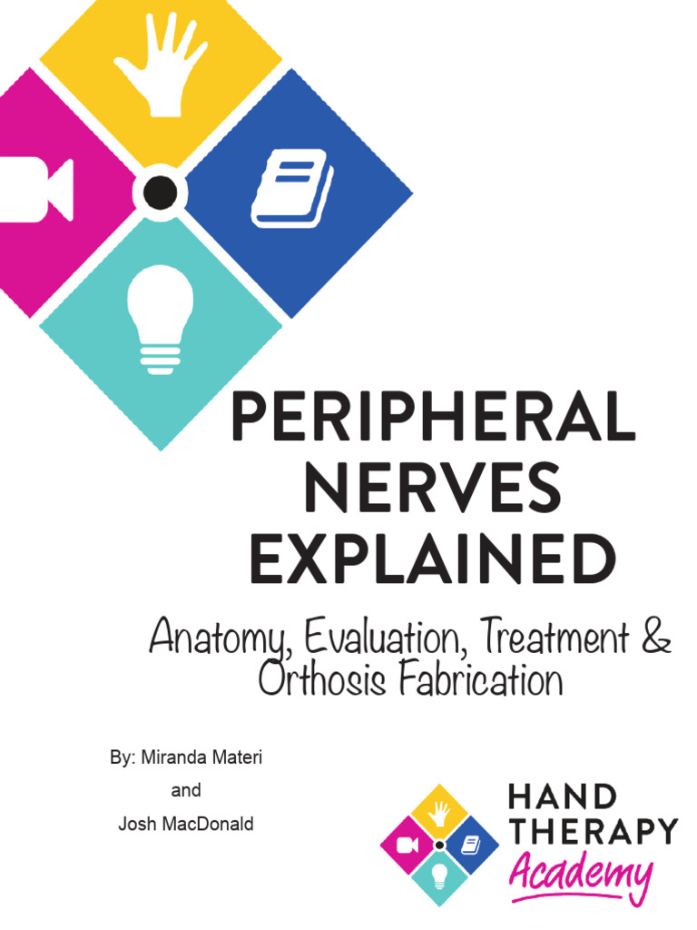 Ebook Peripheral Nerves Updated Final | PDF | Elbow | Limbs (Anatomy)