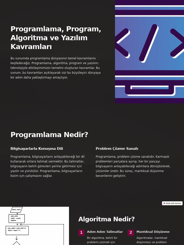 Programlama Program Algoritma Ve Yazilim Kavramlari | PDF