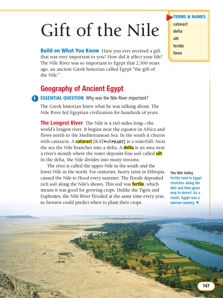 MYP Homework worksheet | PDF | Nile | Ancient Egypt