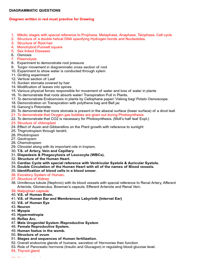 DIAGRAMMATIC QUESTIONS REQUIRES FOR LABELING - Docx - 20240913 - 175524 ...