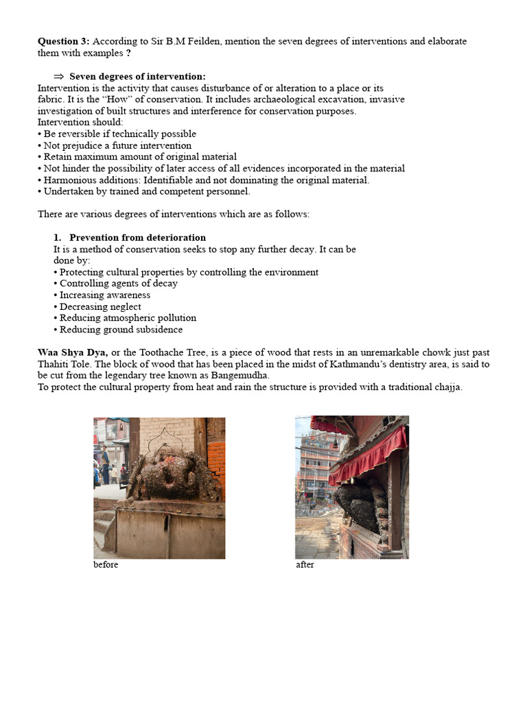 Conservation Report | PDF | Conservation Biology | Sustainability