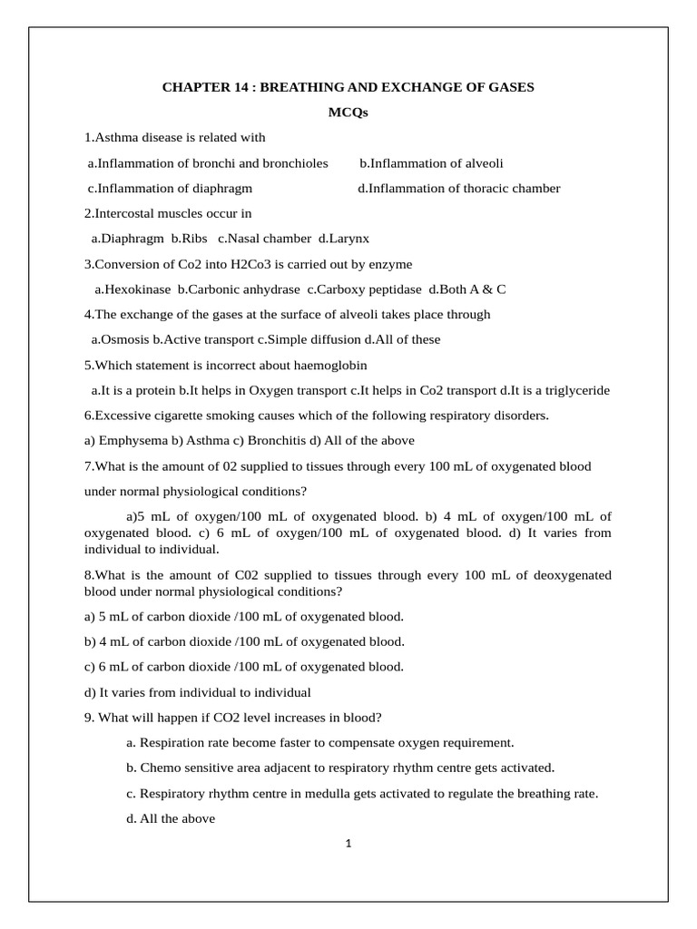 Ch 14 worksheet 1 | PDF | Respiratory System | Breathing
