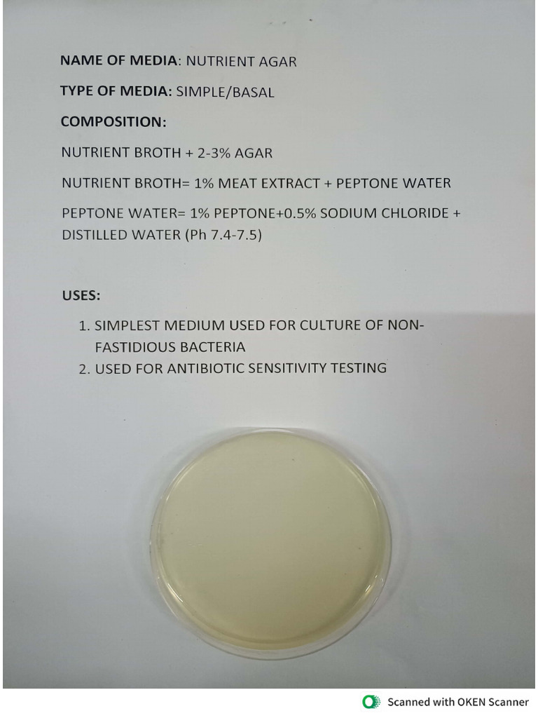 Culture Media - Microbiology | PDF