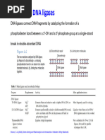 Adapters and Linkers | PDF | Dna Ligase | Molecular Cloning