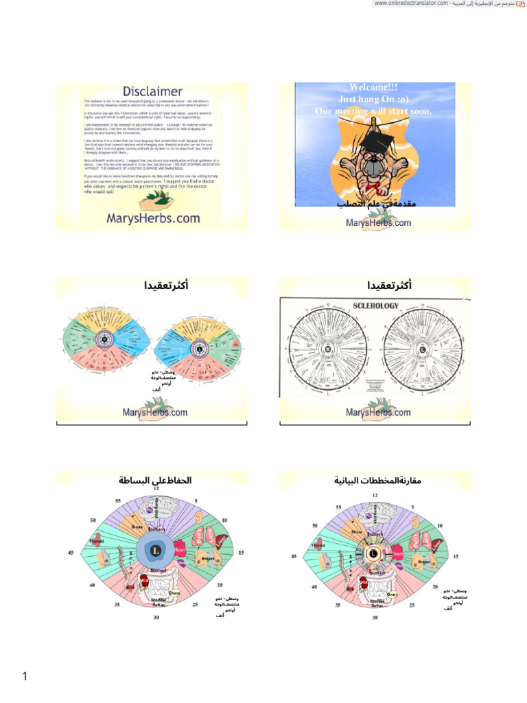 Sclerology-Chart-Pdf en Ar | PDF