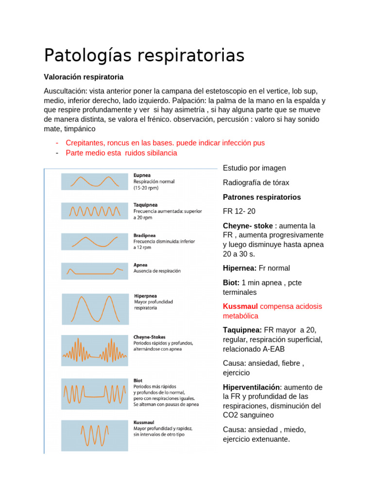 Evaluación y Patrones Respiratorios | PDF