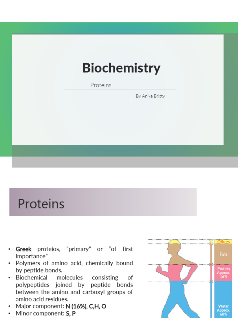 Protein | PDF | Translation (Biology) | Proteins