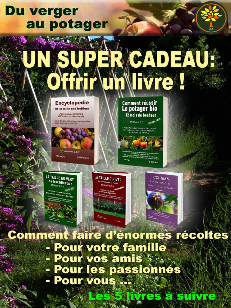 Catalogue Virtuel Photos 2 | PDF