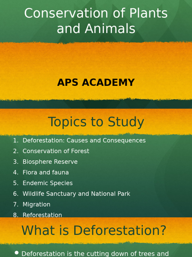 Conservation of plants and animals | PDF | Deforestation | Paper