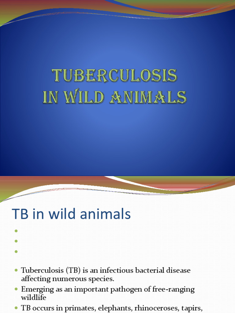 Tuberculosis in animals | PDF | Tuberculosis | Mycobacterium