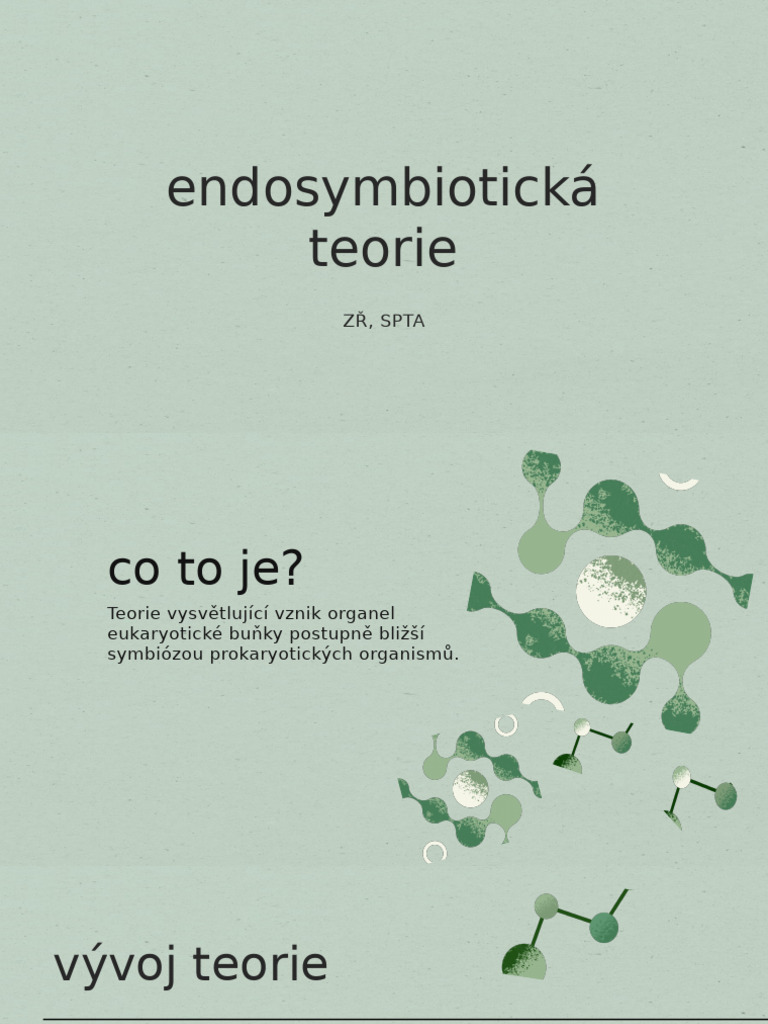 Endosymbiotická Teorie | PDF