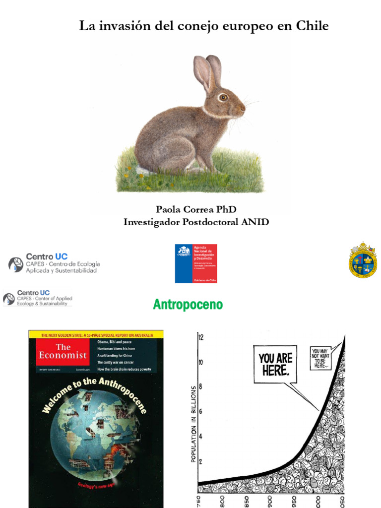 Clase 17b - Invasión Del Conejo Europeo en Chile | PDF | Especies ...