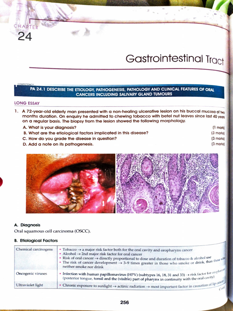 Git Pathology | PDF | Anatomy | Health Sciences