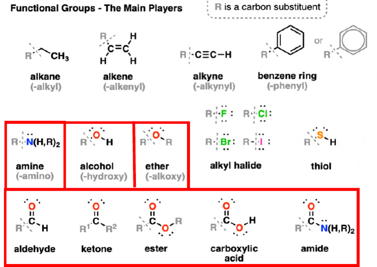 1 Most Important Funcdtional Groups Alkane Alkene Alkyne Benzene Ring ...