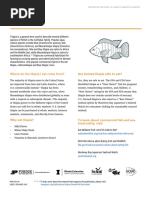 Commonly Used Dialyzer Specifications and Subs Chart | PDF ...