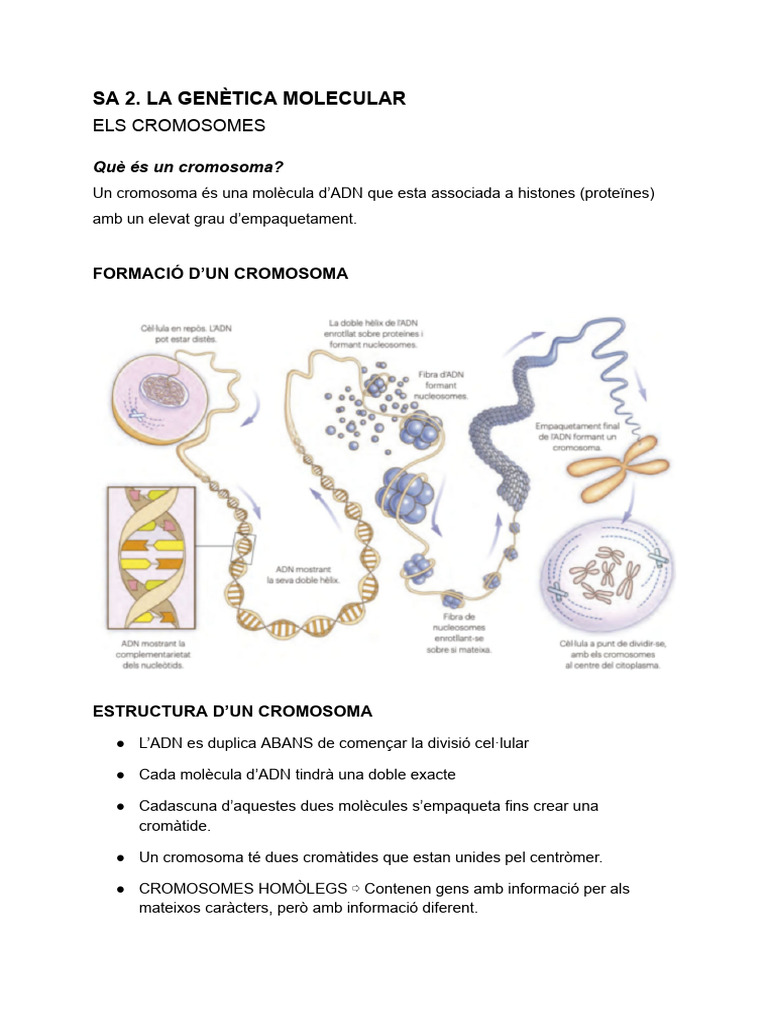 Bio Apunts PDF | PDF