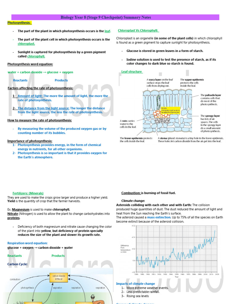 Bio Year 8 Summary Notes Alshaima Bahaa (1) 2 | PDF | Photosynthesis ...